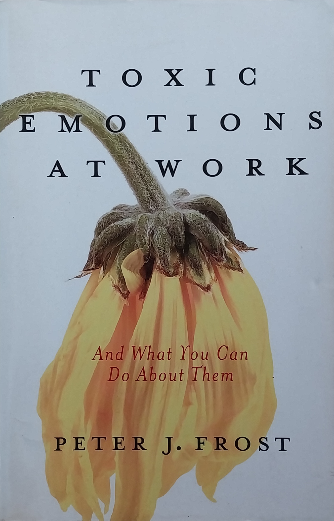 Toxic Emotions at Work / Peter J. Frost – Kakkerlak Boekhandelaars