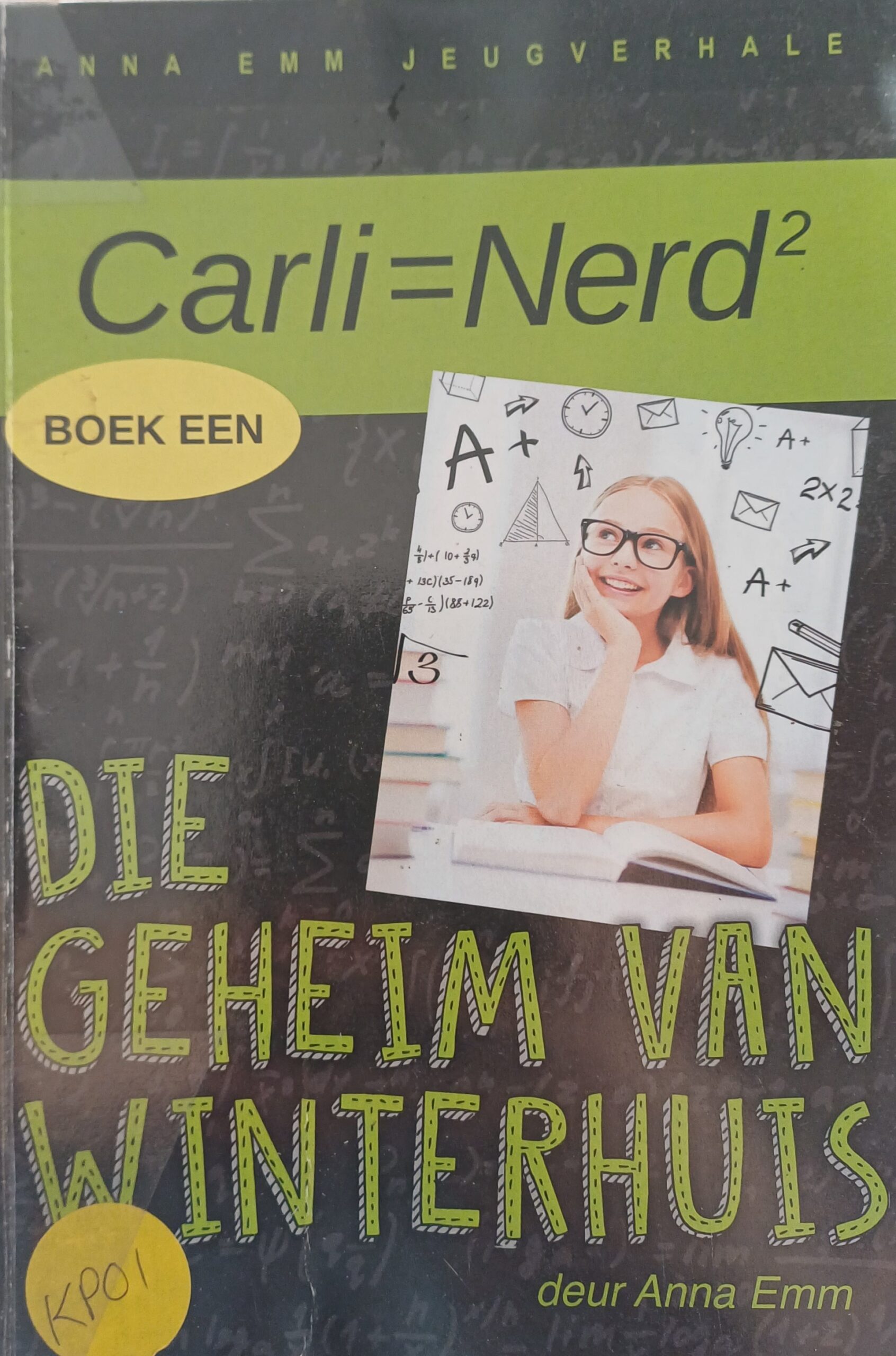 Die geheim van die winterhuis: Die eerste Carli-avontuur / Anna Emm ...